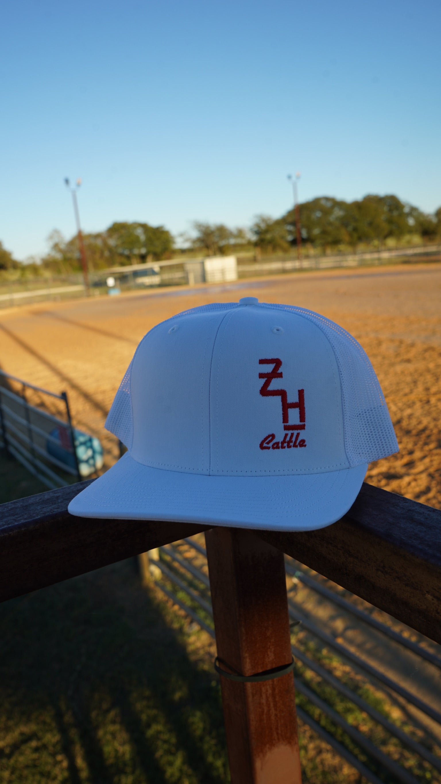 Raider Rash – ZH Cattle